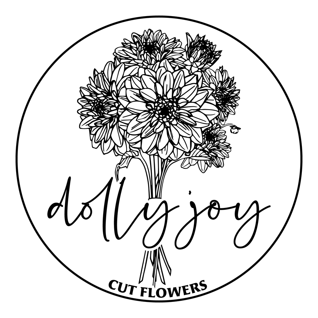 Products – Page 3 – Dolly Joy